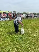 2022 Show - Newcastle West Show